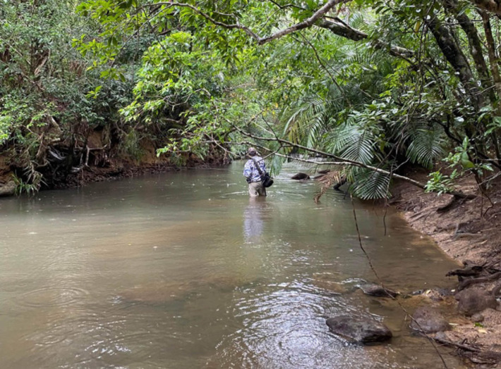 Fly Fishing in Japan – Fantastic Fishing Destinations | Tokyo Fly ...