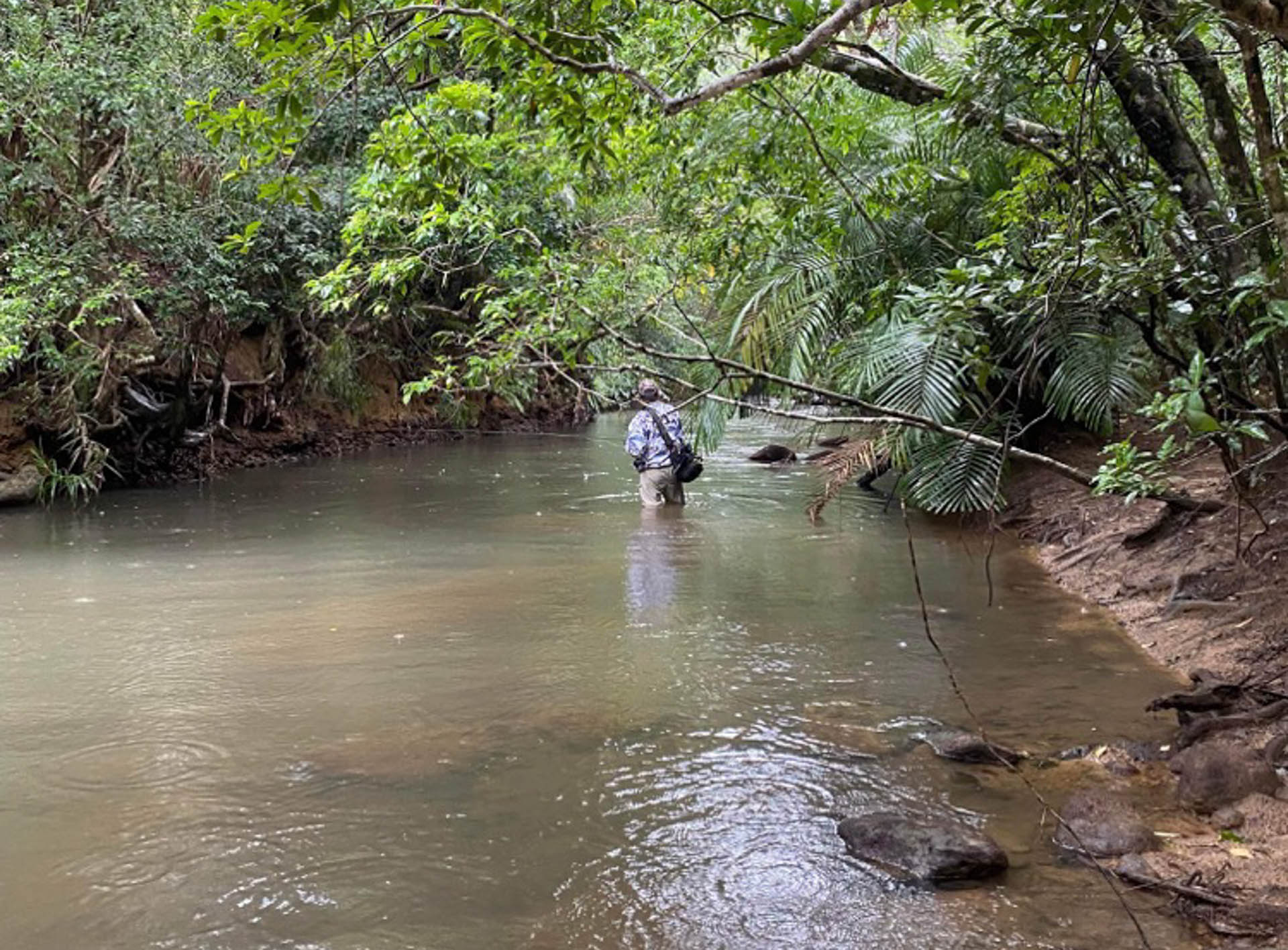 Fly Fishing in Japan – Fantastic Fishing Destinations | Tokyo Fly ...